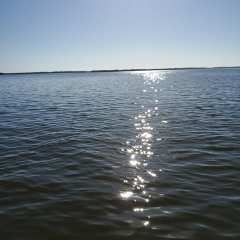 Come & Have Fun With Us! Harris Chain Of Lakes Boat Rentals